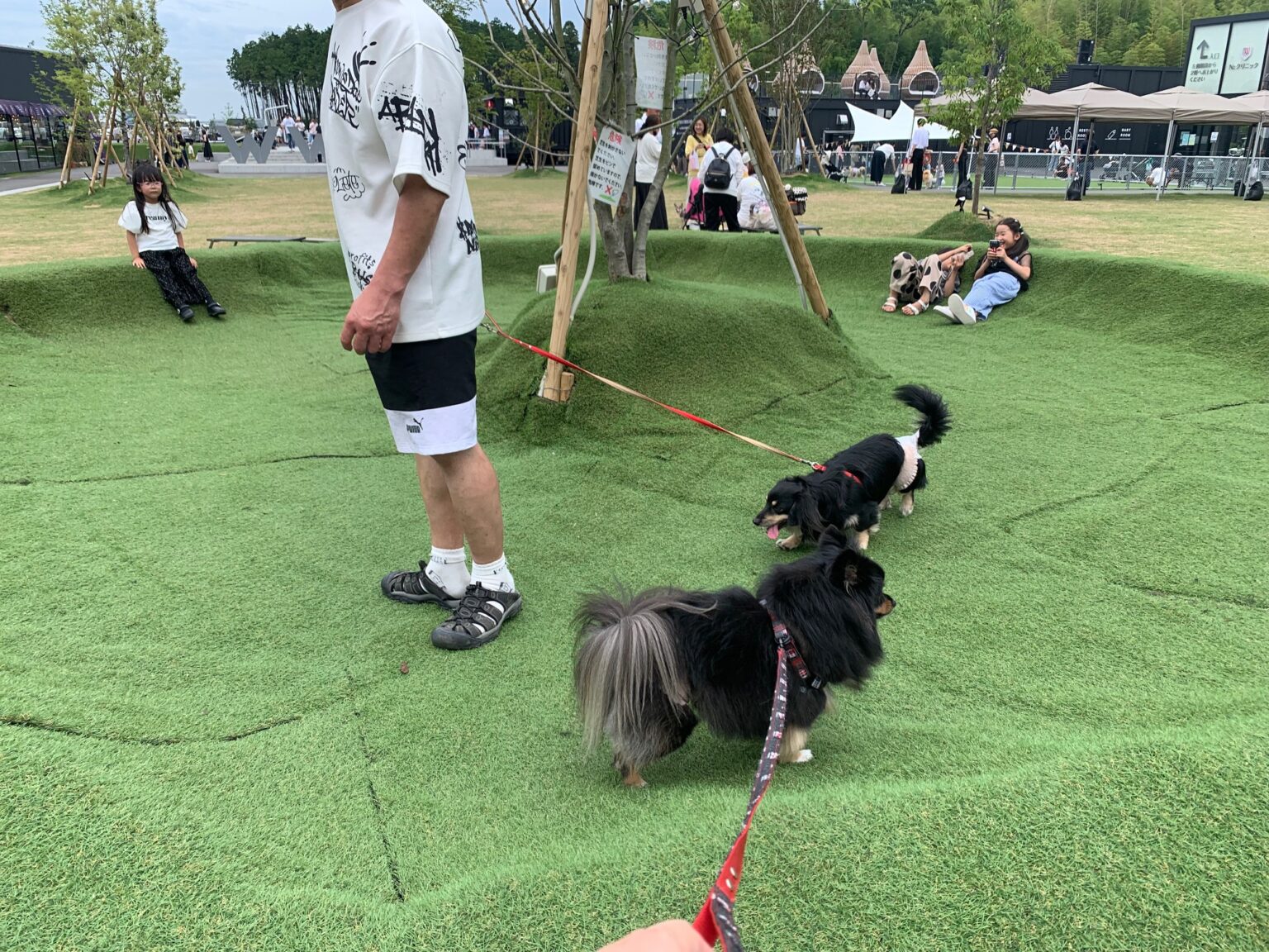 【大阪/岸和田市】WHATAWON(ワタワン）「2024.5OPEN!ペット同伴OK/楽しめる滞在型モールお散歩食事にショッピング！ドッグラン2エリアあり」 | わんわんスタジアム