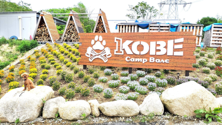 2023年6月にオープンしたばかりの新しいキャンプ場、1 KOBE Camp Base（ワンコウベキャンプベース）はわんちゃん大歓迎のキャンプ場で、犬用の設備が揃っています。
