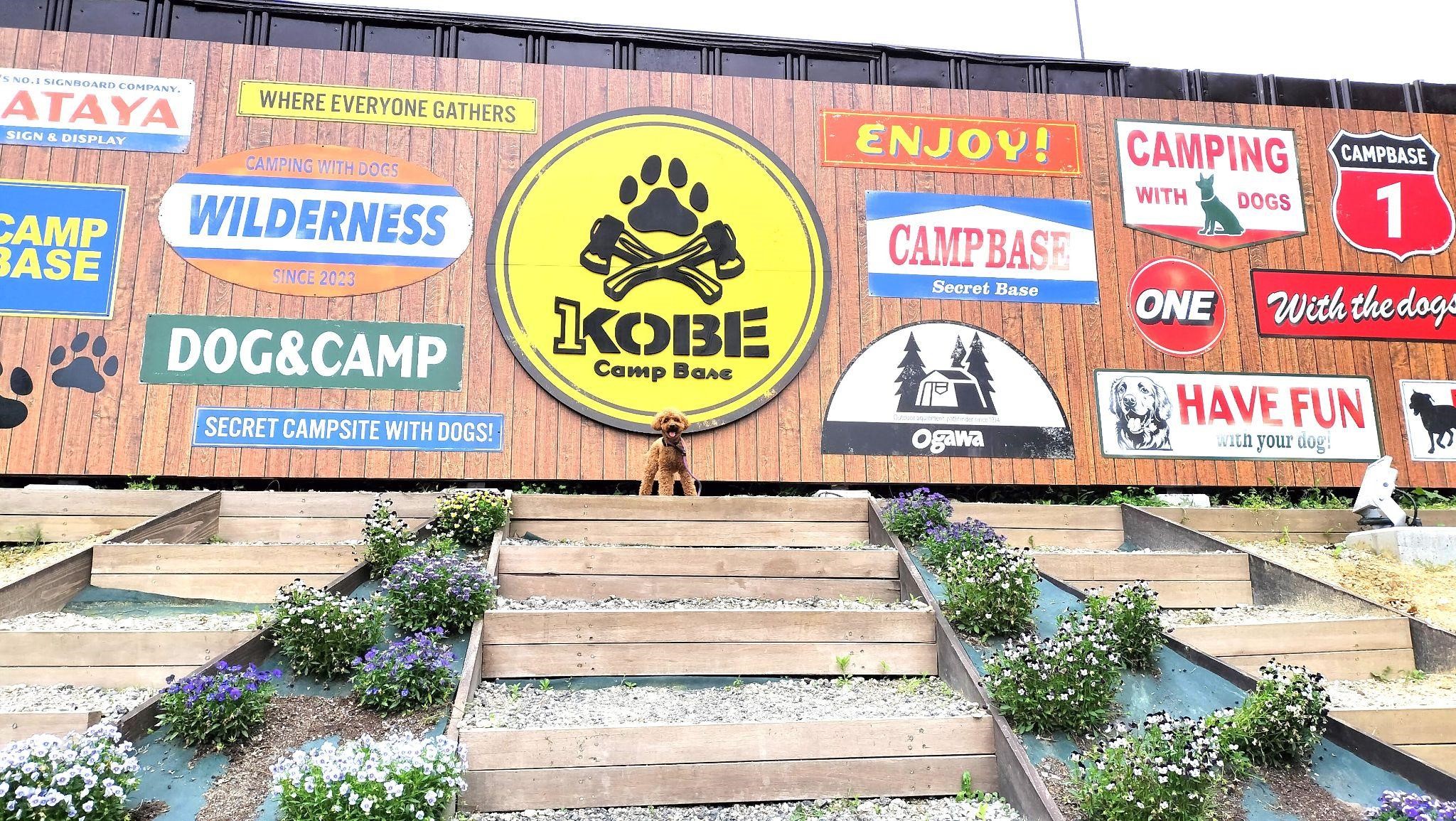 2023年6月にオープンしたばかりの新しいキャンプ場、1 KOBE Camp Base（ワンコウベキャンプベース）はわんちゃん大歓迎のキャンプ場で、犬用の設備が揃っています。