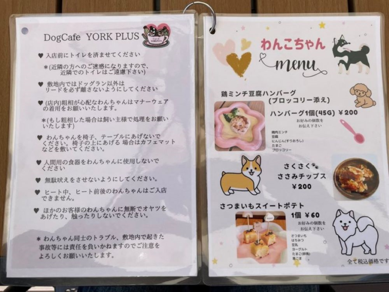 【和歌山市】Dogcafe YORK+（ドッグカフェヨークプラス）「2024年5月OPEN!可愛いが詰まったオシャレなドッグラン付きカフェ」 | わんわんスタジアム