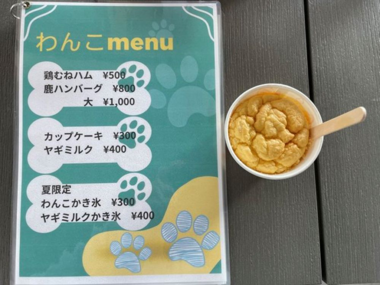 【和歌山/岩出市】Cafeアーネラ「月ごとに代わる撮影スポットに併設ドッグラン！設備充実のフレンドリードッグカフェ」 | わんわんスタジアム